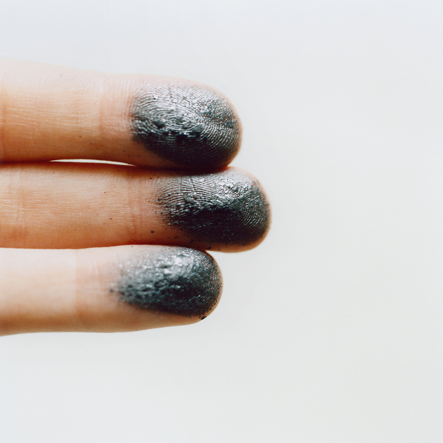 Instar | Projects | Lydia Goldblatt