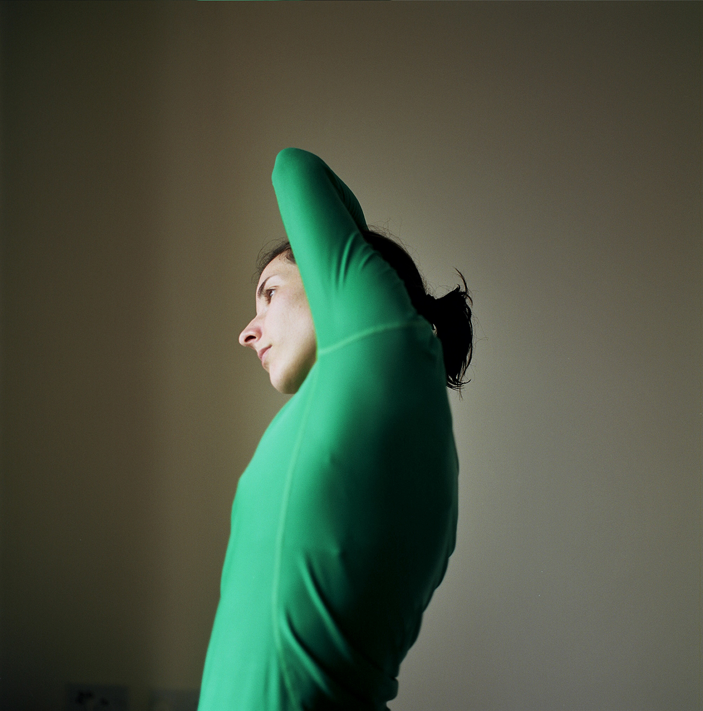 Selected Commissions | Commissions | Lydia Goldblatt